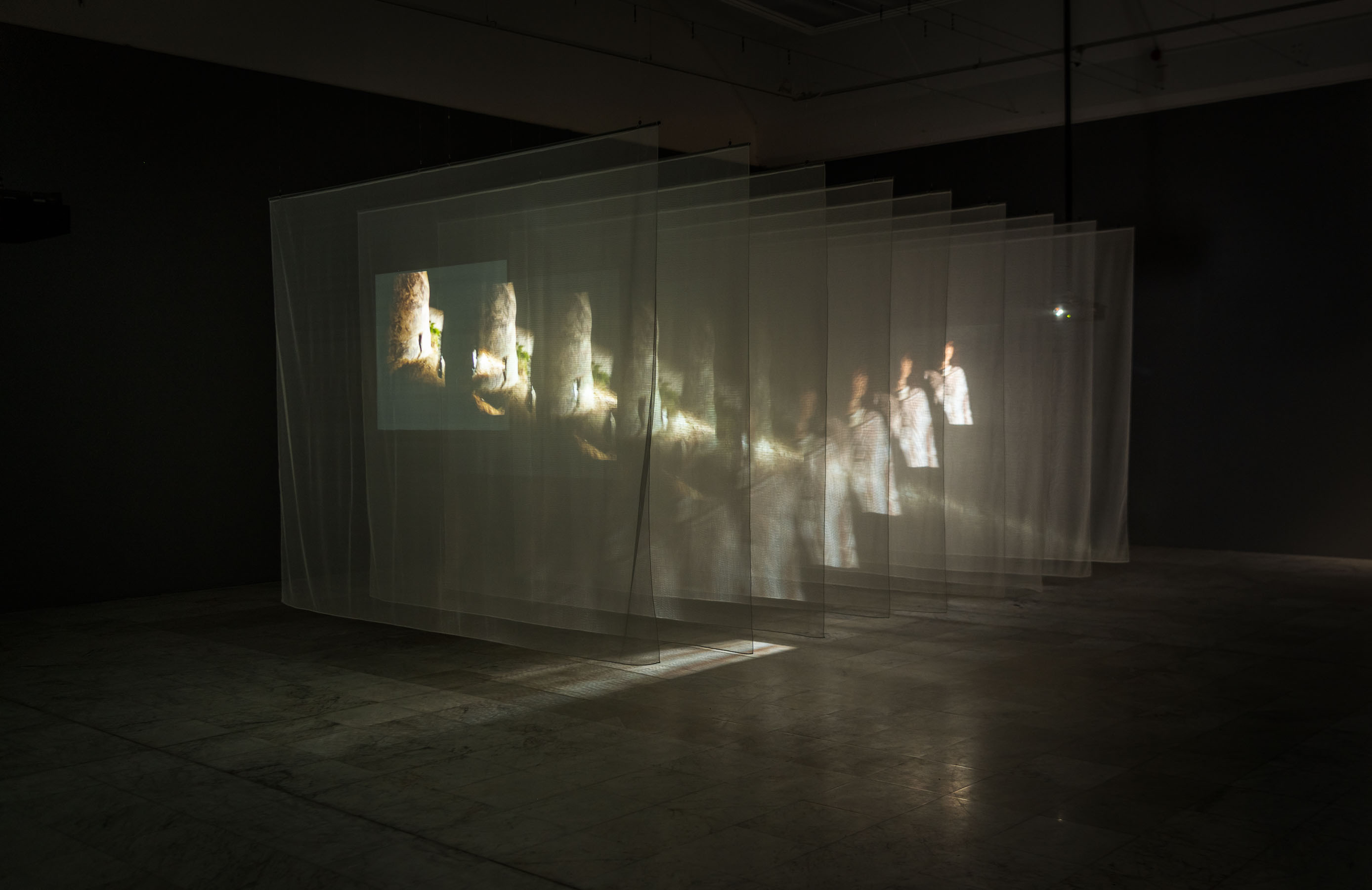 Bill Viola Installation